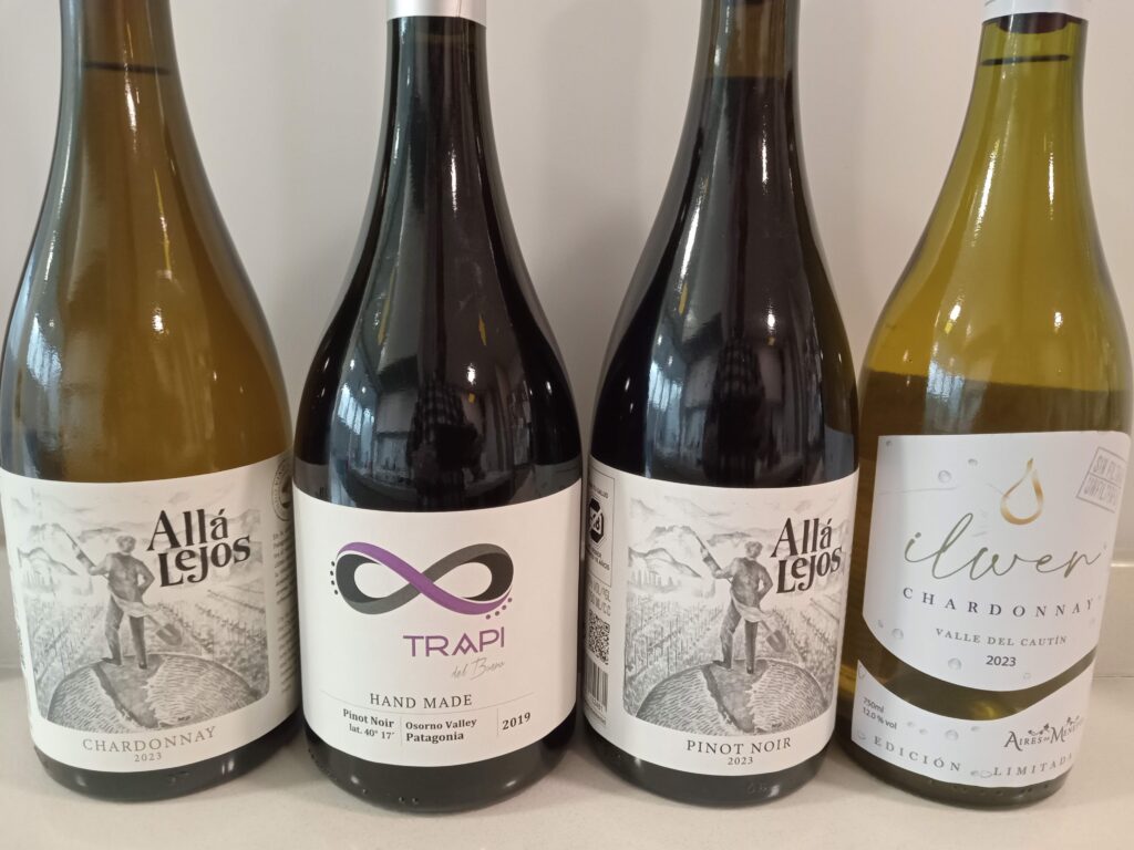 Wine Review: The World’s Most Southern Wines - The Wine Diplomats